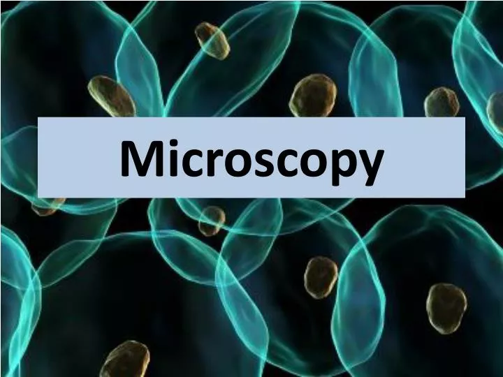 PPT - Microscopy PowerPoint Presentation, free download - ID:2794358