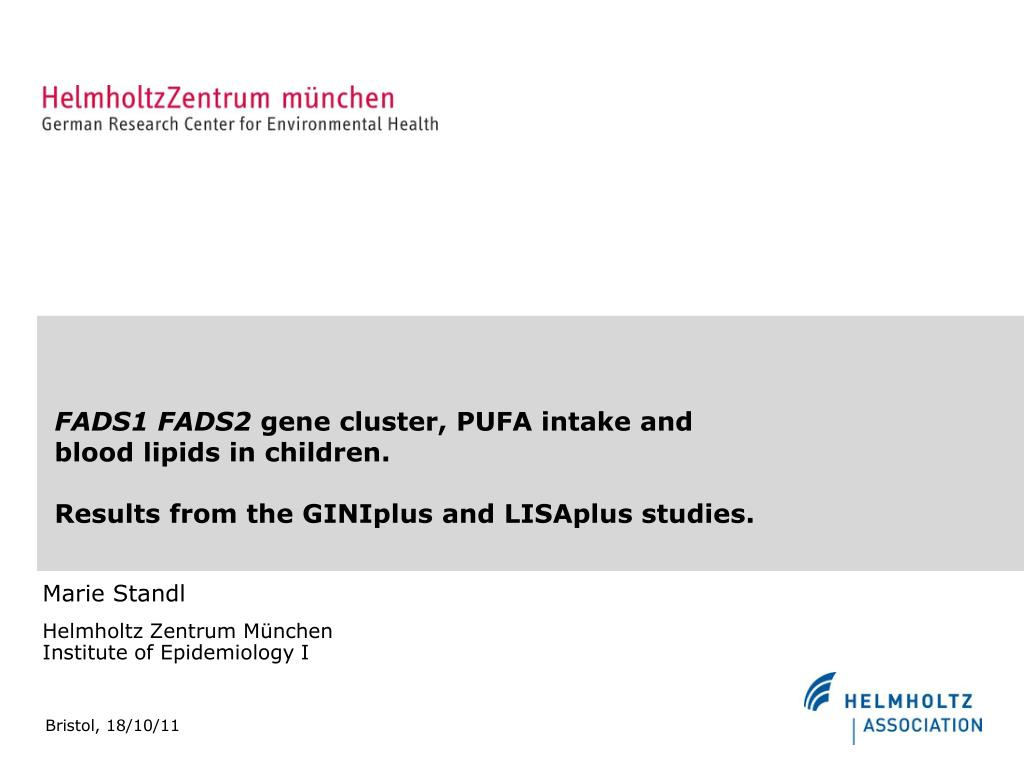 PPT - Marie Standl Helmholtz Zentrum München Institute of Epidemiology ...