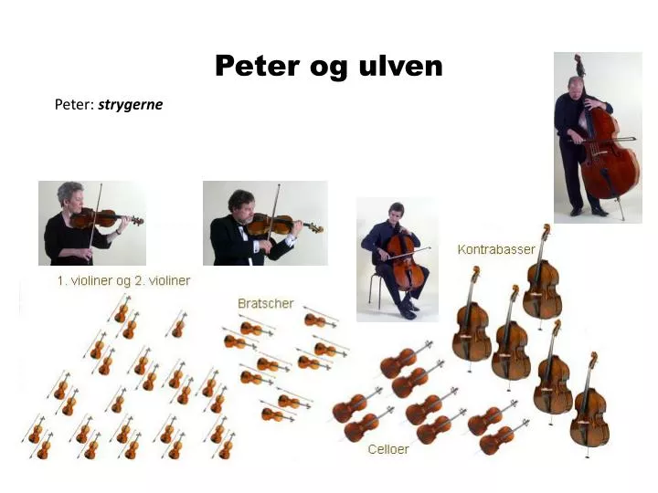 PPT - Peter og ulven PowerPoint Presentation, free download - ID:2795237