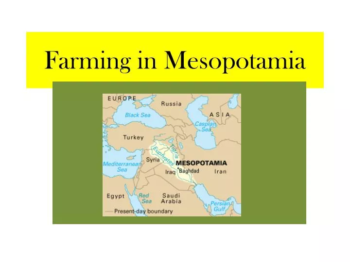PPT - Farming in Mesopotamia PowerPoint Presentation, free download ...