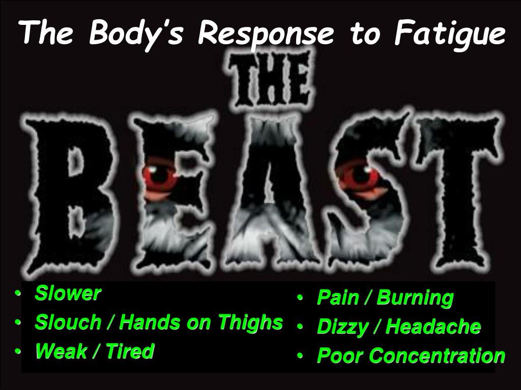 PPT - Muscle Fatigue PowerPoint Presentation, free download - ID:2796871 PPT - Muscle Fatigue PowerPoint Presentation, free download - ID:2796871