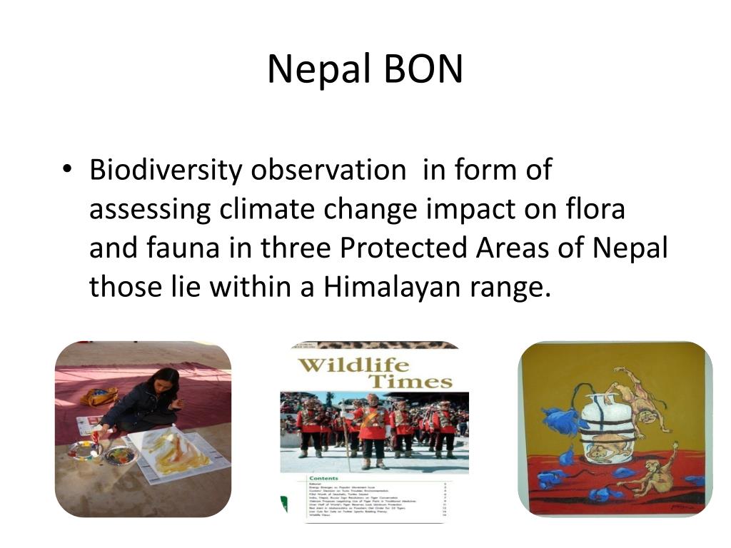 PPT - Biodiversity Observation experience in Nepal Mangal Man Shakya ...