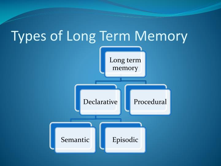PPT - Human Memory PowerPoint Presentation - ID:2797670