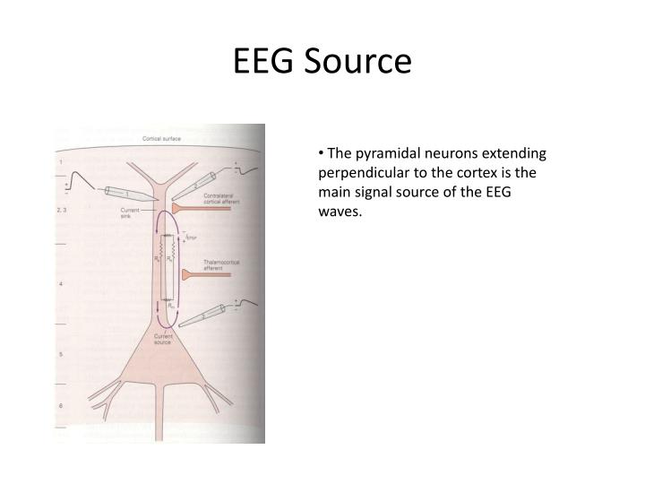 PPT - PHYSIOLOGY LAB EEG I PowerPoint Presentation - ID:2797744
