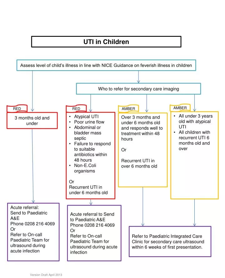 PPT - UTI in Children PowerPoint Presentation, free download - ID:2798315