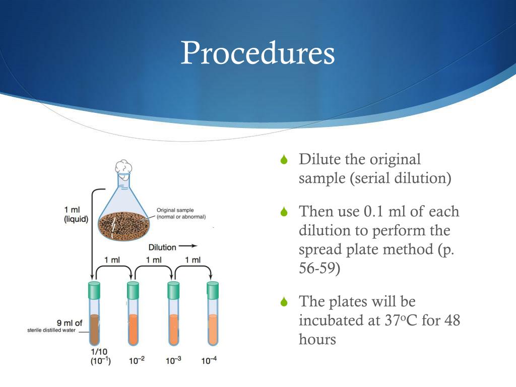 Ppt Bacterial Enumeration Powerpoint Presentation Free Download Id