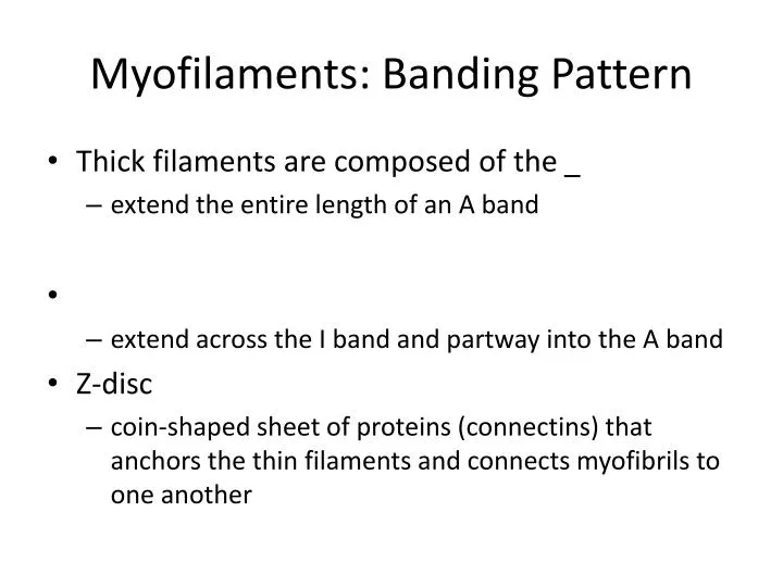 PPT - Myofilaments: Banding Pattern PowerPoint Presentation, free ...