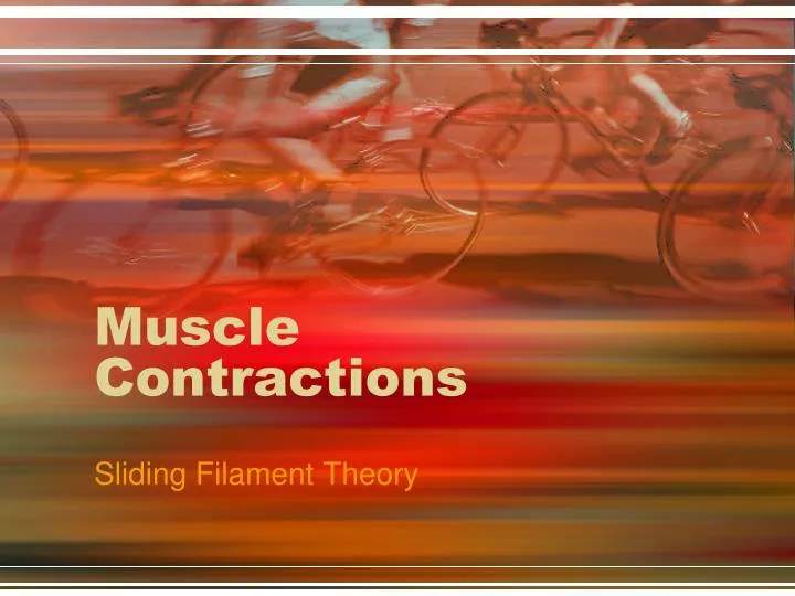 PPT - Muscle Contractions PowerPoint Presentation, free download - ID ... PPT - Muscle Contractions PowerPoint Presentation, free download - ID ...