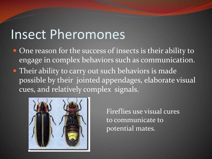 PPT - Insect Pheromones PowerPoint Presentation - ID:2800322