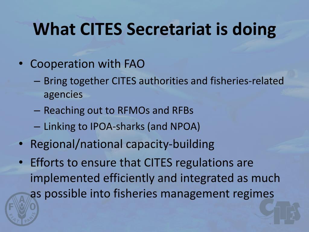 PPT - FAO, CITES, fisheries and aquaculture PowerPoint Presentation ...