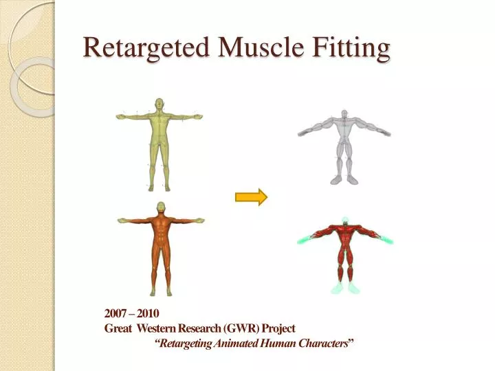 PPT - Retargeted Muscle Fitting PowerPoint Presentation, free download ...
