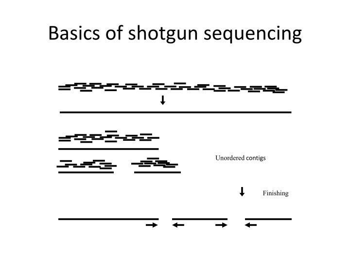 PPT - Genome Assembly and Annotation PowerPoint Presentation - ID:2801724