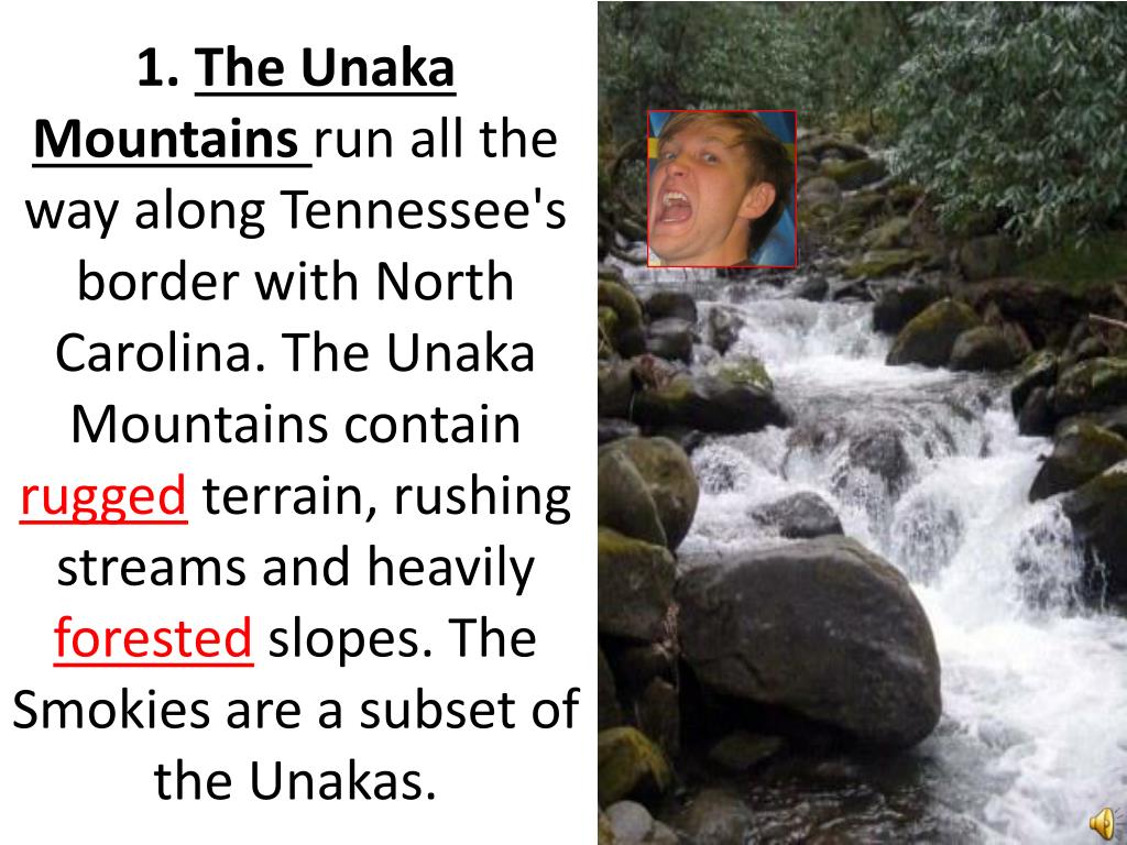 PPT - 6 Physical Regions of Tennessee PowerPoint Presentation, free ...