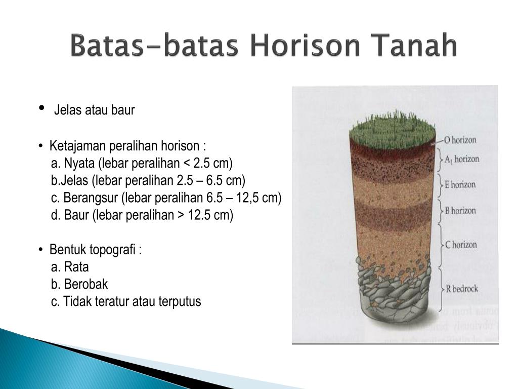 PPT - ILMU TANAH HUTAN PAH 233, 3(2-1) Dr . Ir. Henny H., M. Si. Ir ...