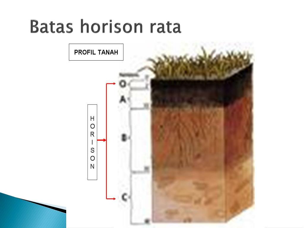 PPT - ILMU TANAH HUTAN PAH 233, 3(2-1) Dr . Ir. Henny H., M. Si. Ir ...