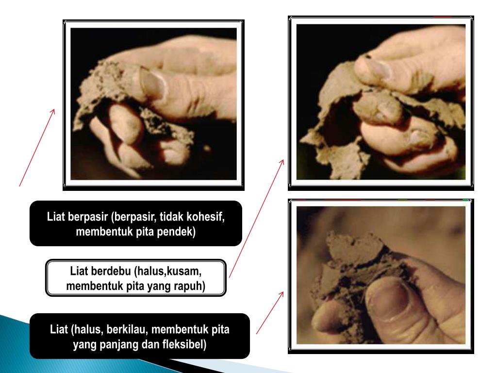 PPT - ILMU TANAH HUTAN PAH 233, 3(2-1) Dr . Ir. Henny H., M. Si. Ir ...