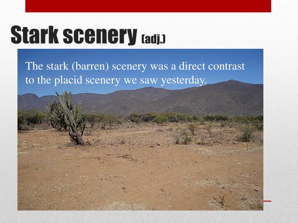PPT - Sadlier -Oxford Vocabulary Level E PowerPoint Presentation, free ...