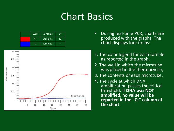 PPT - Real-time PCR Analysis PowerPoint Presentation - ID:2803602