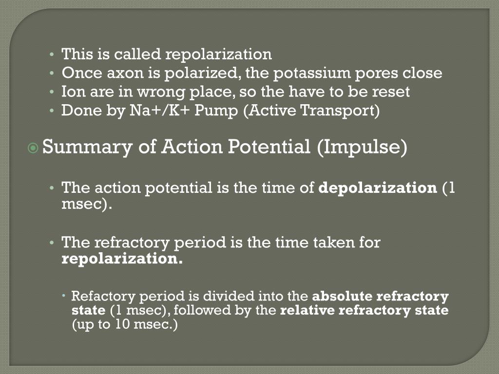 PPT - Human Physiology Nerves, Homeostasis and Hormones PowerPoint ...