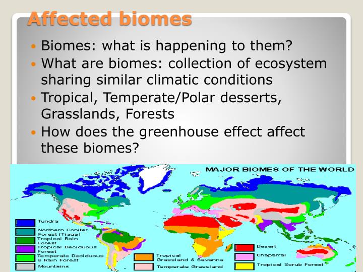 PPT - Greenhouse Effect and Biodiversity PowerPoint Presentation - ID ...