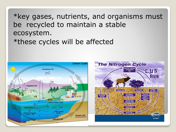 PPT - Greenhouse Effect and Biodiversity PowerPoint Presentation - ID ...