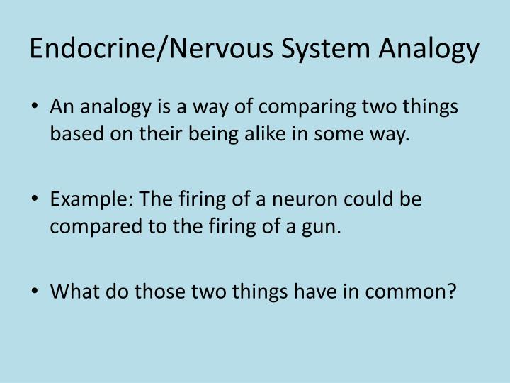 PPT - Notes 34.1 The Endocrine System PowerPoint Presentation - ID:2803868