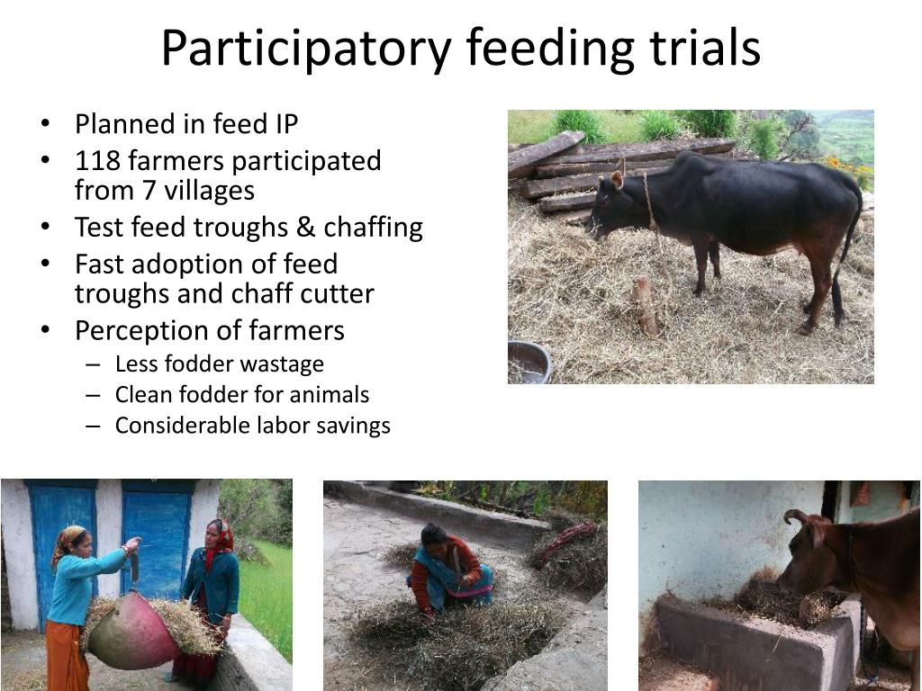 PPT - MilkIT Advisory Council Meeting Dehradun 23/07/14 PowerPoint ...