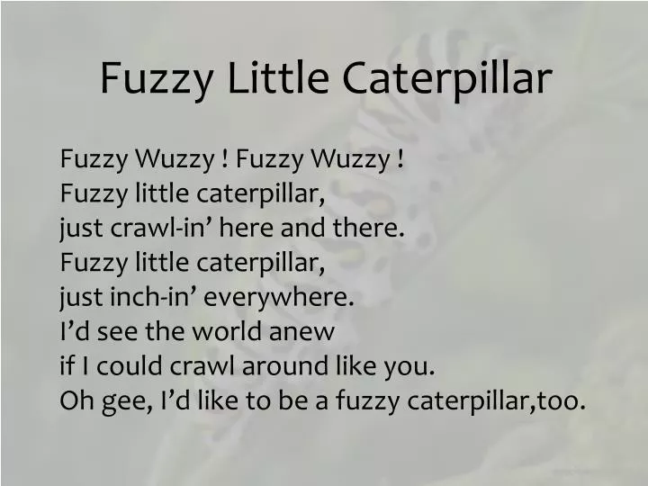 PPT - Fuzzy Little Caterpillar Fuzzy Wuzzy ! Fuzzy Wuzzy ! Fuzzy little ...