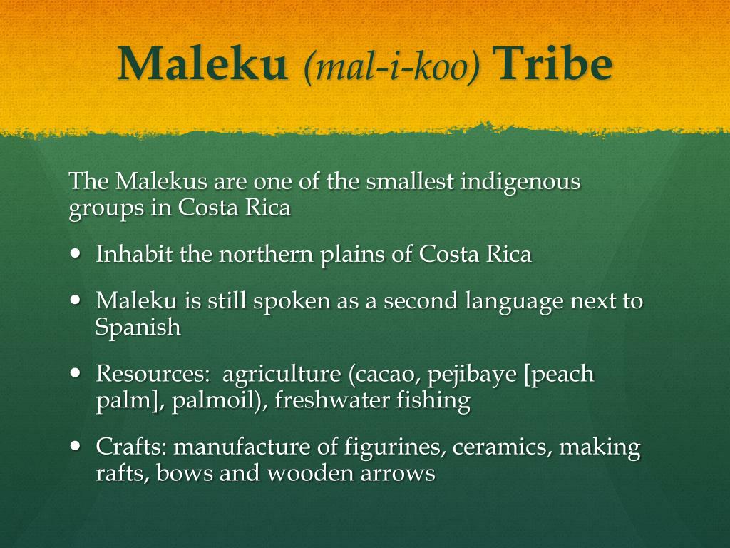 PPT - Costa Rica’s Indigenous Tribes PowerPoint Presentation, free ...