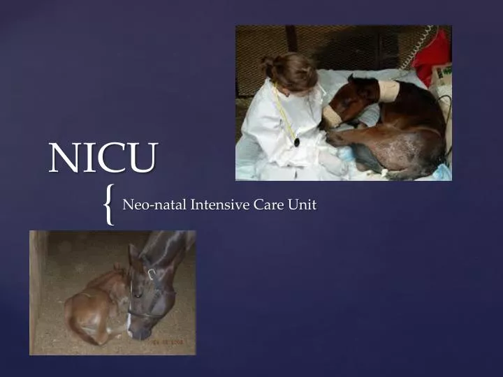 PPT - NICU PowerPoint Presentation, free download - ID:2804154