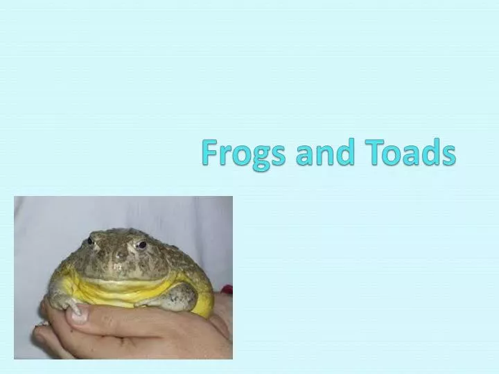 PPT - Frogs and Toads PowerPoint Presentation, free download - ID:2804500