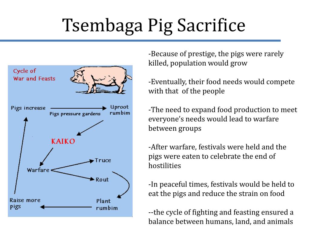 PPT - CULTURAL ANTHROPOLOGY CH 5 - MAKING A LIVING PowerPoint ...