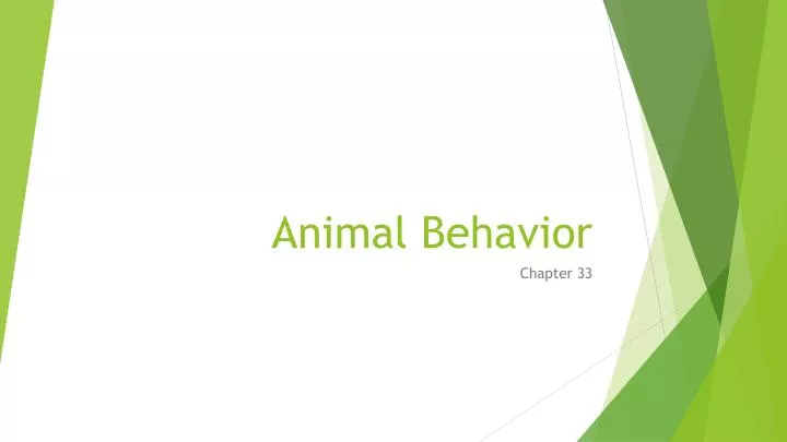 PPT - Animal Behavior PowerPoint Presentation, free download - ID:2805342