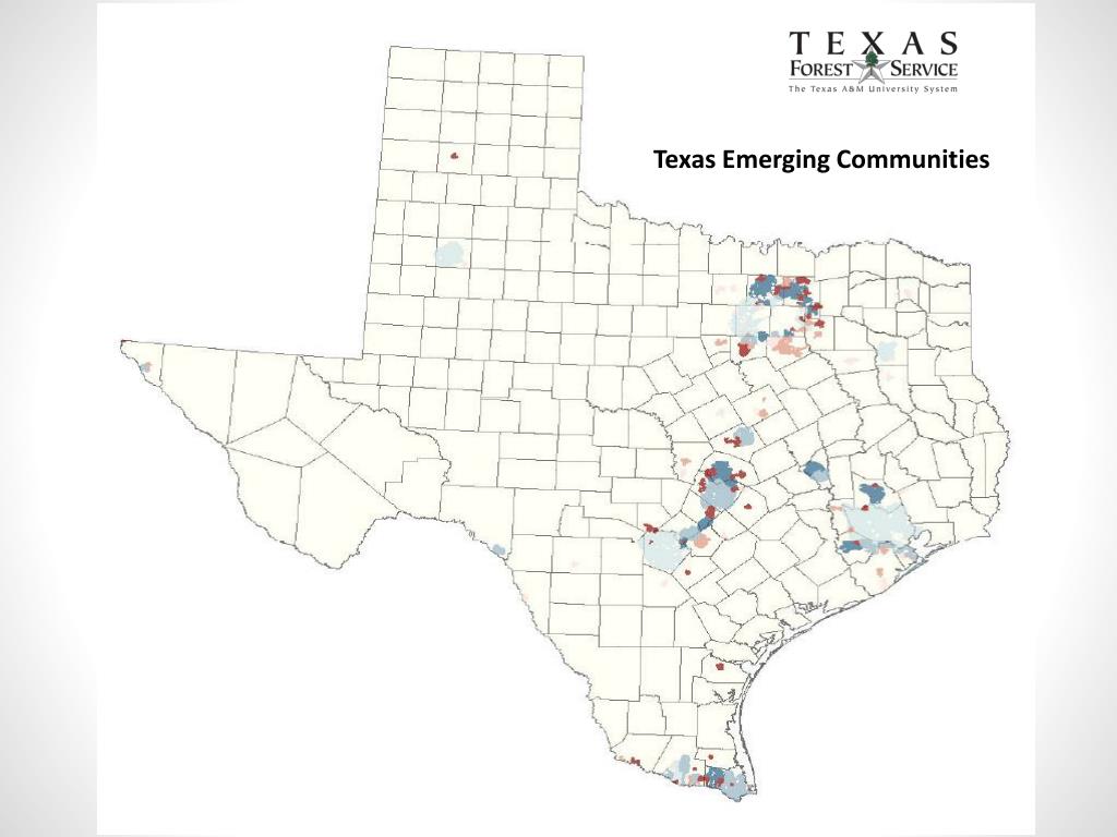 PPT - Urban Forest Sustainability Jim Rooni Texas Forest Service Urban ...