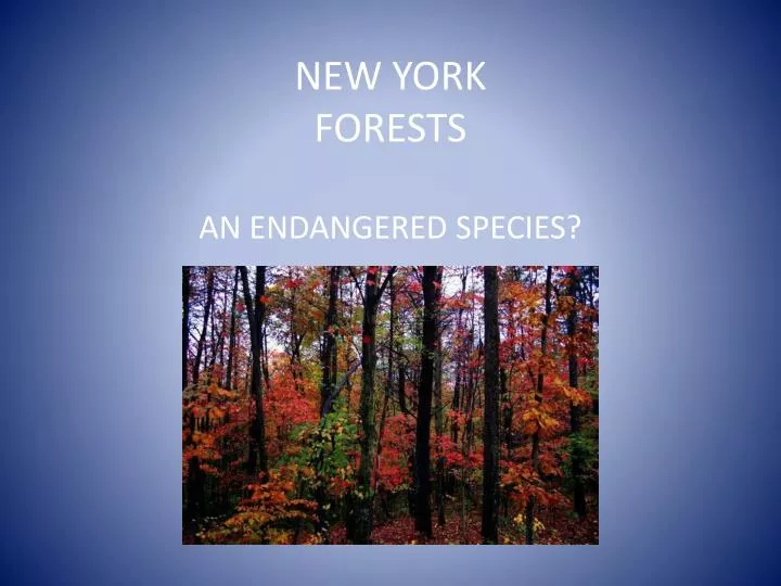 PPT - NEW YORK FORESTS PowerPoint Presentation, free download - ID:2805936