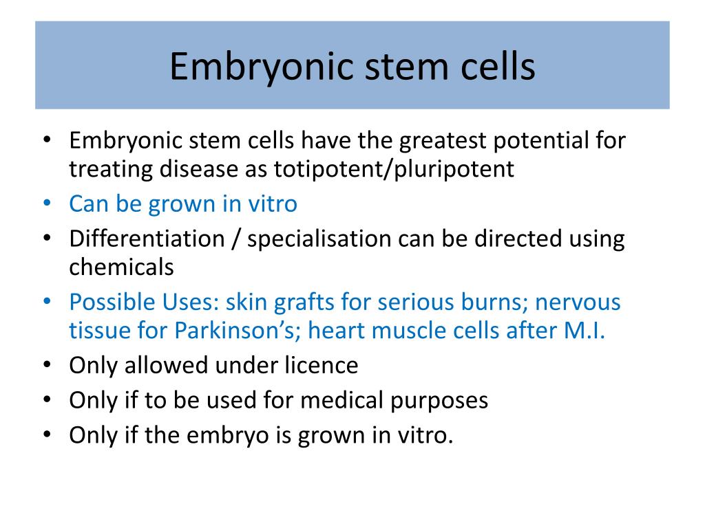 PPT Stem Cells PowerPoint Presentation Free Download ID 2807581 PPT Stem Cells PowerPoint Presentation Free Download ID 2807581