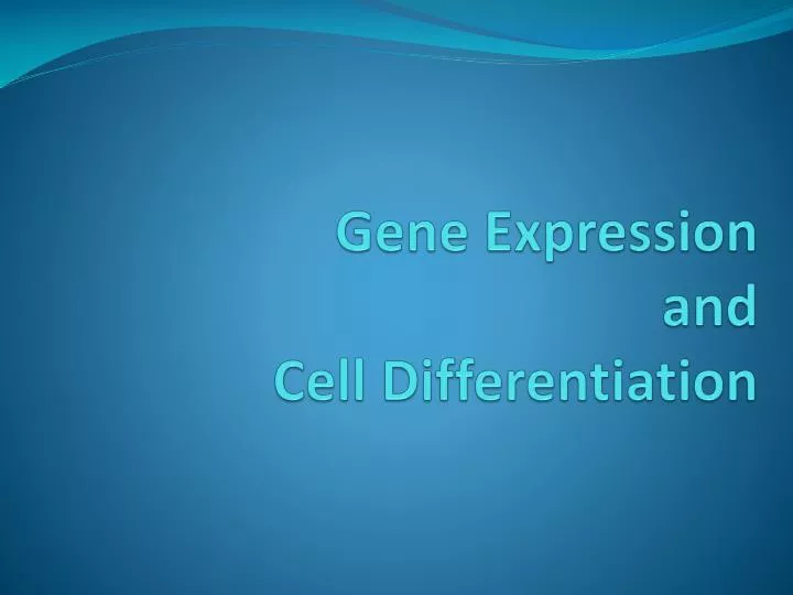PPT - Gene Expression and Cell Differentiation PowerPoint Presentation ...