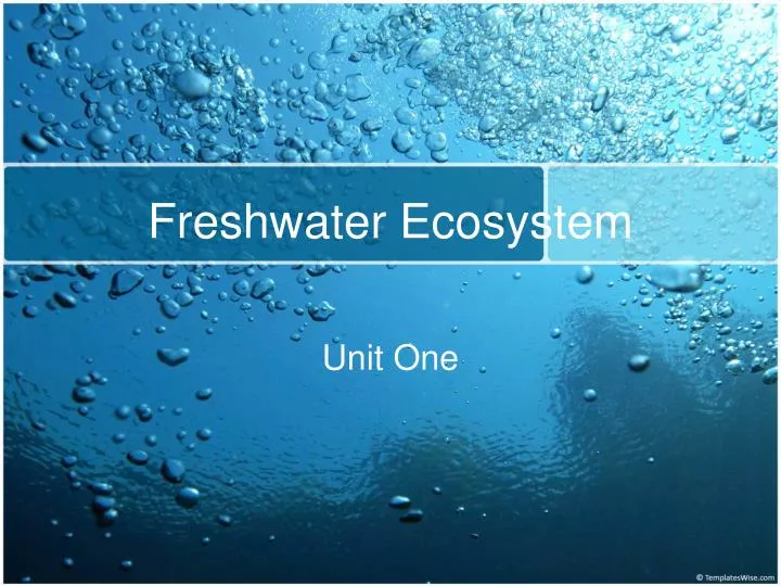 PPT - Freshwater Ecosystem PowerPoint Presentation, free download - ID ...