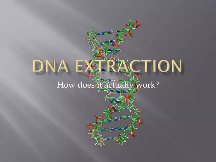 PPT - Dna Extraction PowerPoint Presentation, free download - ID:2809130