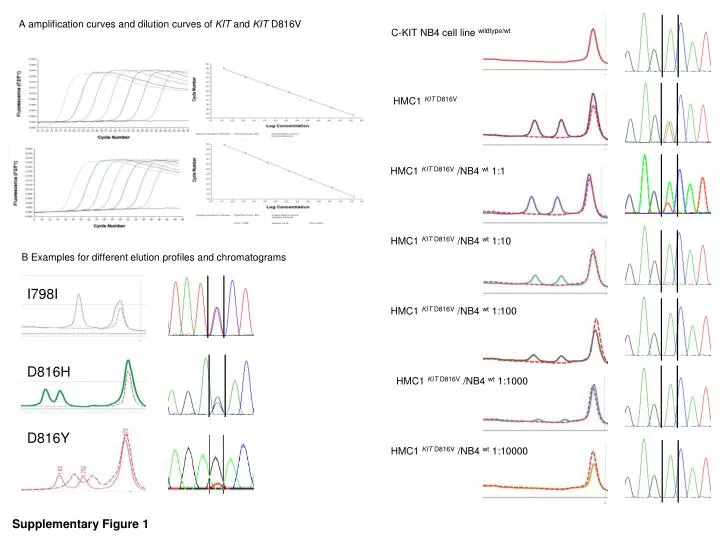PPT - C-KIT NB4 cell line wildtype / wt PowerPoint Presentation, free ...