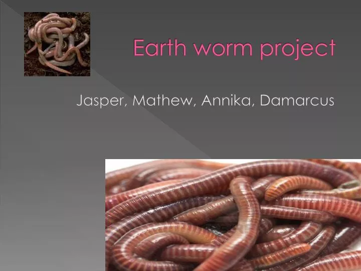 PPT - Earth worm project PowerPoint Presentation, free download - ID ...
