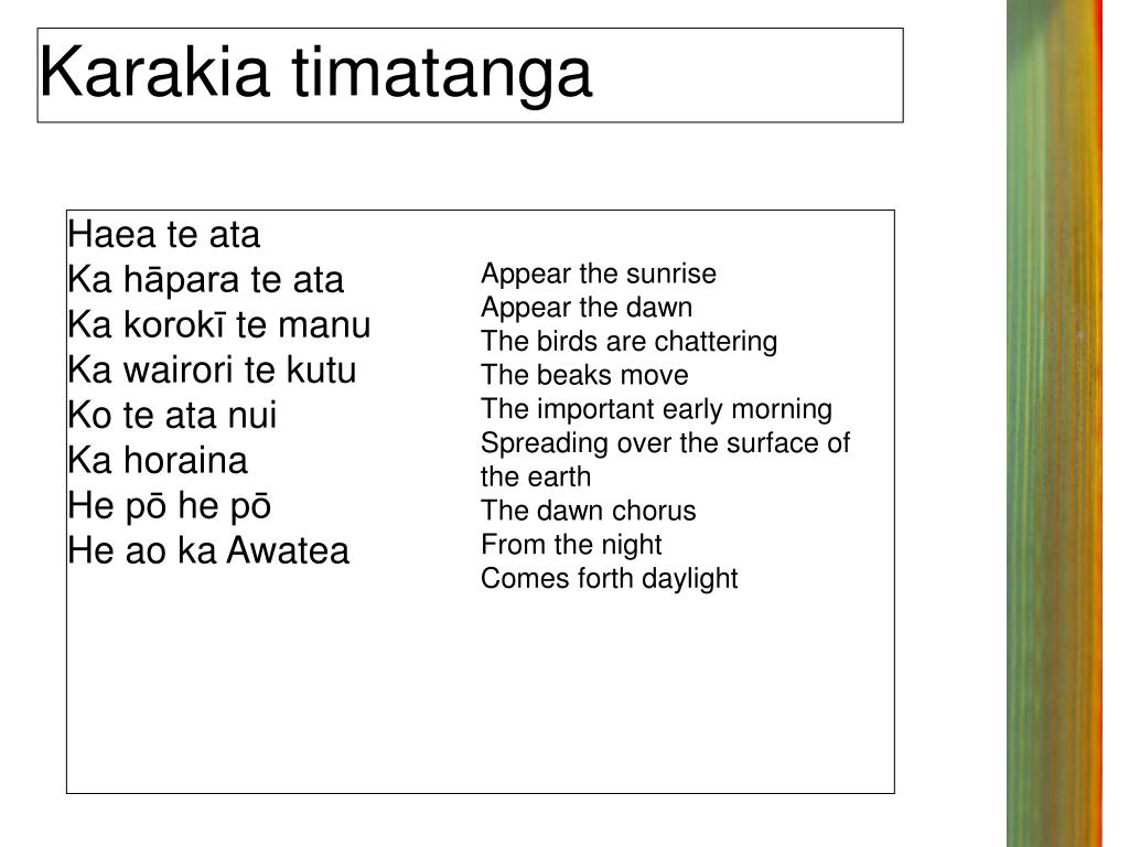 PPT - Karakia timatanga PowerPoint Presentation, free download - ID:2811864