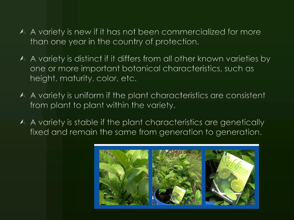 PPT - Plant Breeders Rights PowerPoint Presentation, free download - ID ...