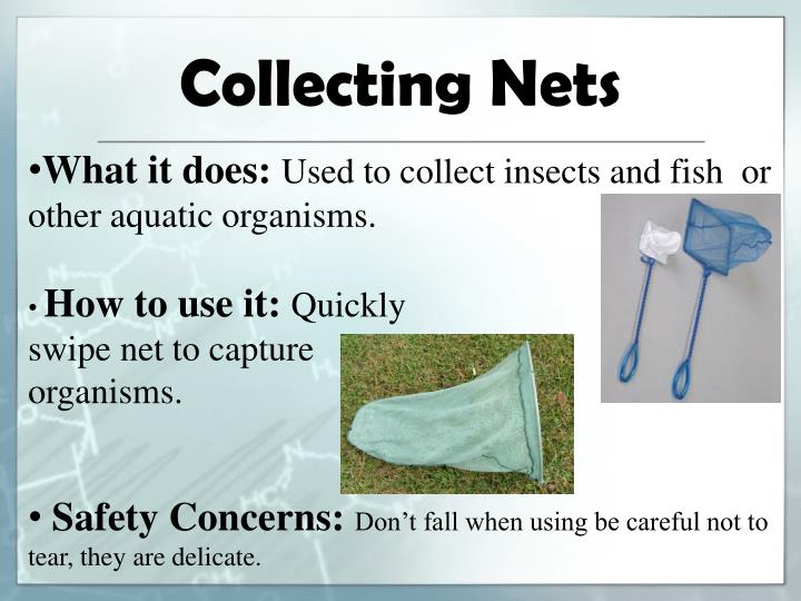 PPT - Science Lab Equipment PowerPoint Presentation - ID:2812144