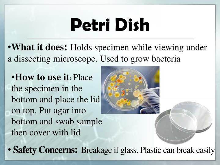 PPT - Science Lab Equipment PowerPoint Presentation - ID:2812144