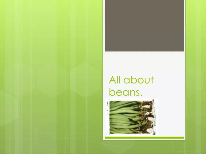 PPT - All about beans. PowerPoint Presentation, free download - ID:2812873