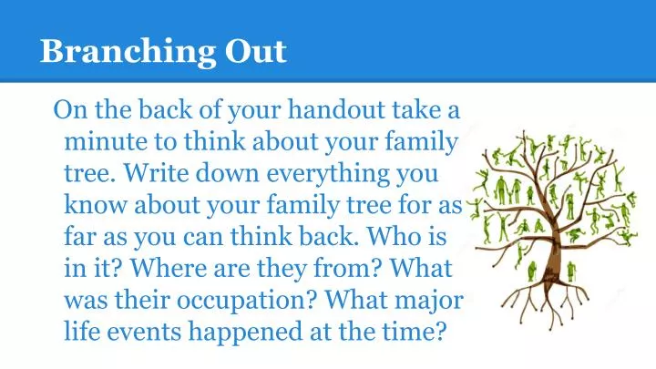 PPT - Branching Out PowerPoint Presentation, free download - ID:2813600