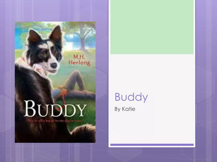 PPT - Buddy PowerPoint Presentation, free download - ID:2814154