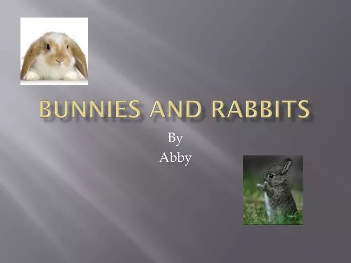 PPT - Bunnies and Rabbits PowerPoint Presentation, free download - ID ...