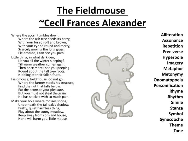 PPT - Grade 7 Poetry Revision PowerPoint Presentation - ID:2815616
